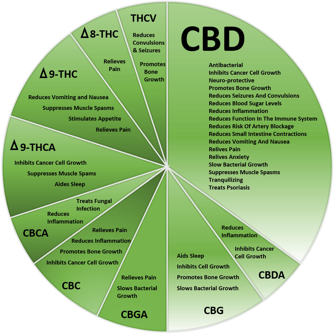 Cannabis Science Inc Critical Ailments Cannabis Science Inc Critical Ailments